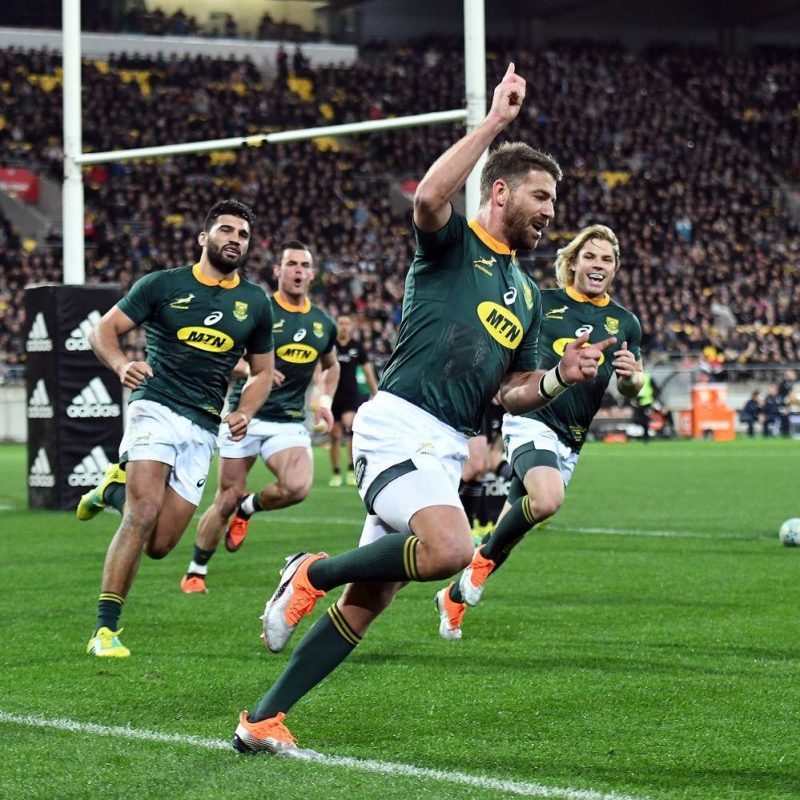 SPRINGBOKS SERVE UP HUMBLE PIE - Bet Central