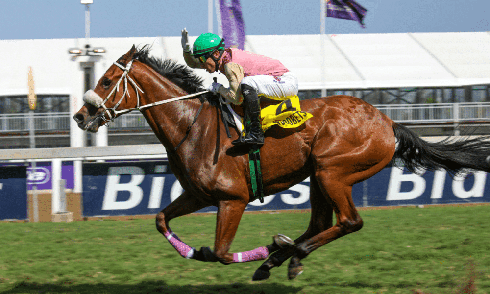 Horse Racing : Gold Challenge And Turffontein
