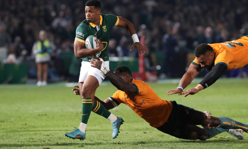 Springbok Watch: Players in the Spotlight v Argentina