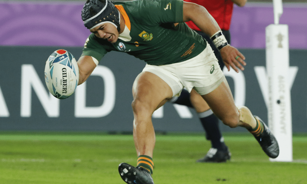 Springbok World Rankings History: The Rise to Number One - Bet Central