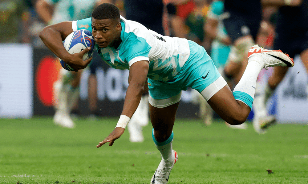 Springbok World Cup Watch: Players in the Spotlight v Romania