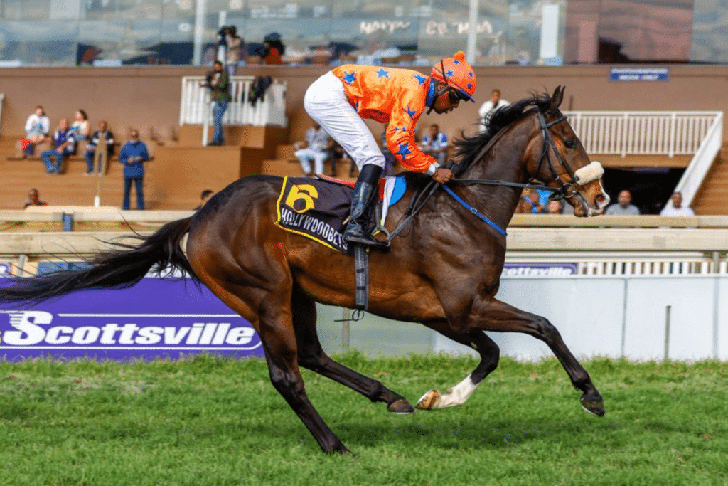 Durban July: Betting Tips