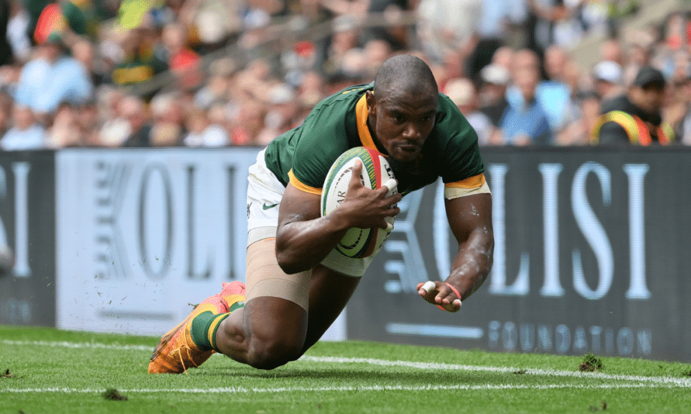 Springboks v Portugal: Fresh And Familiar Faces Seize Opportunity