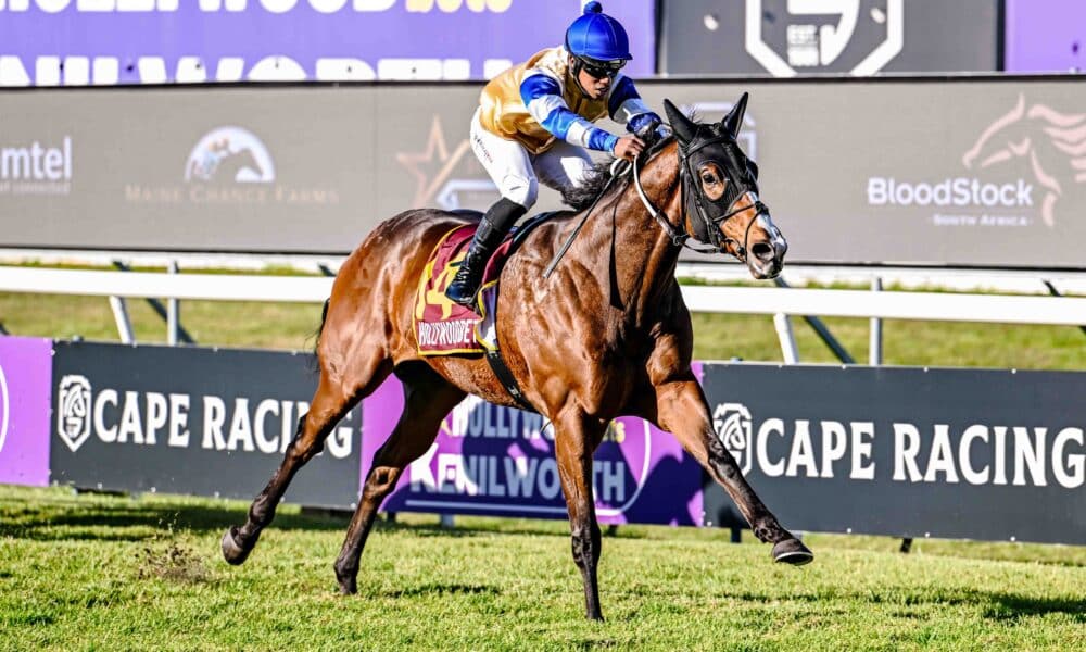 Bet Central - Sports Betting Tips, Predictions & News